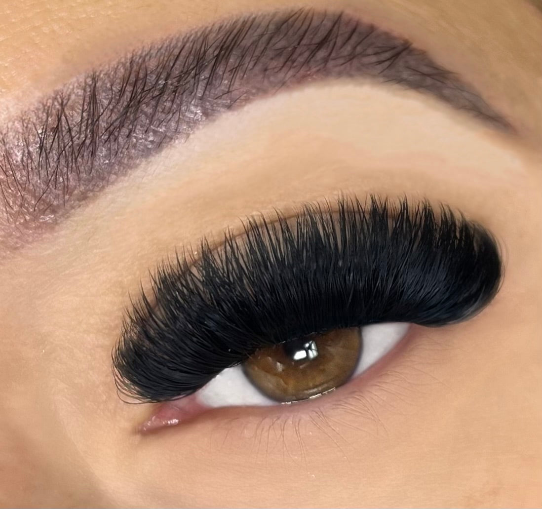 VELVET VOLUME COLLECTION – LashedxBlessing